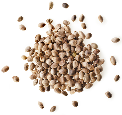 Uptown Growlab Seeds